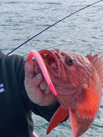 fishing report archive, Oregon coast