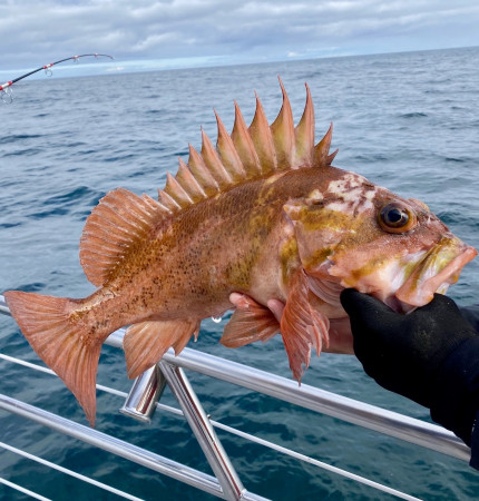 fishing report archive, Oregon coast